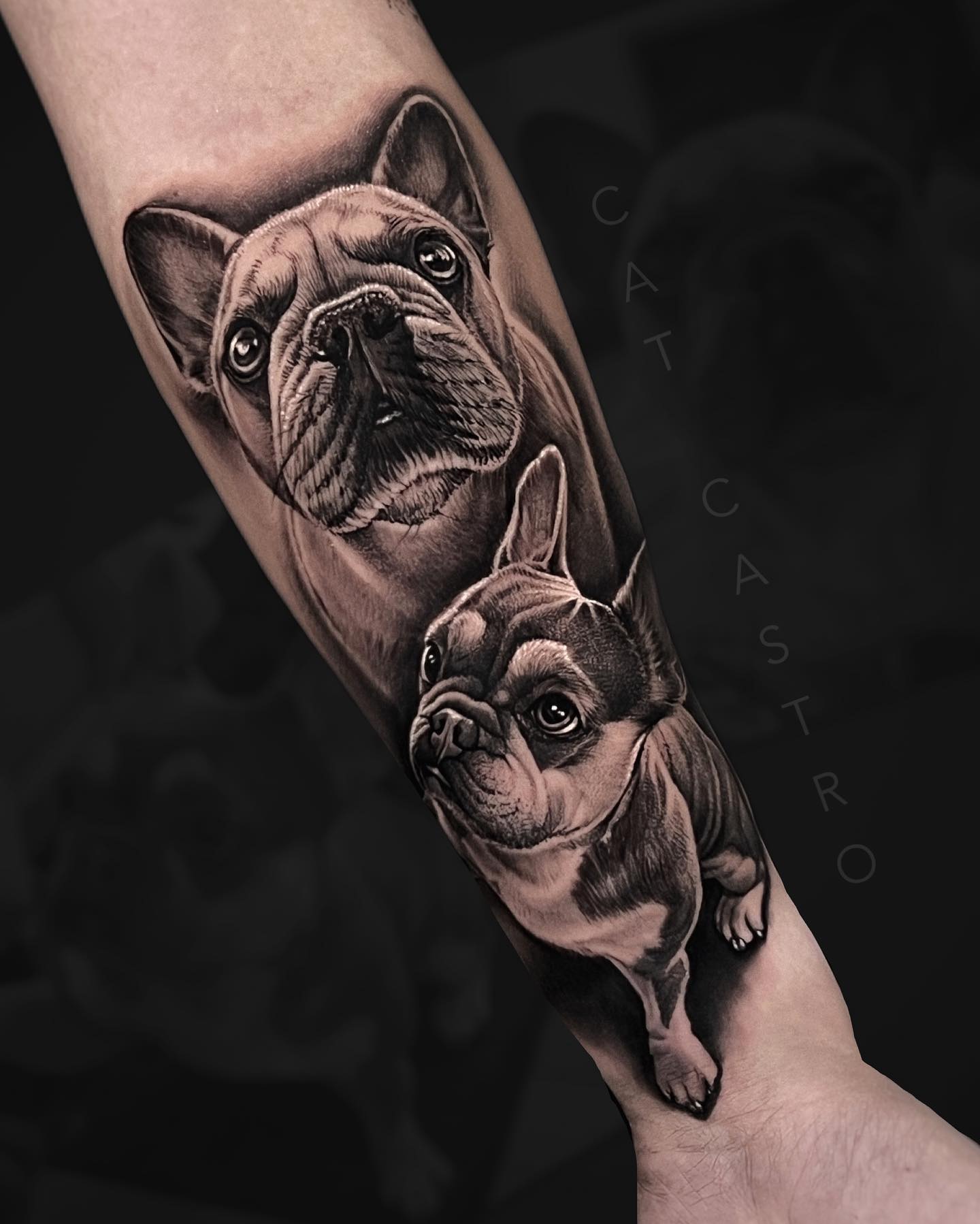 Get Creative Pet Tattoos to Celebrate Your Animal Companions